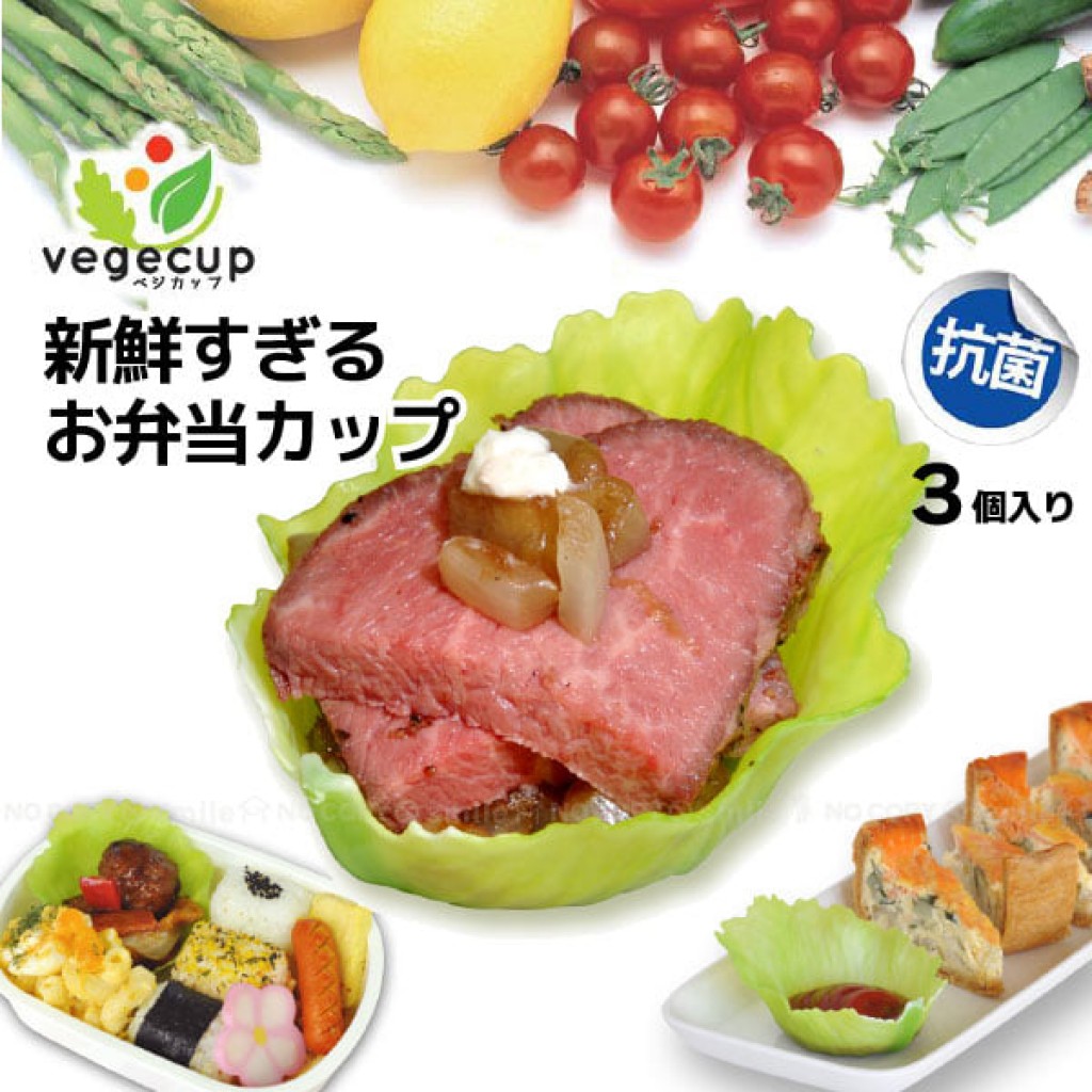 【日本代購】日本製抗菌容生菜造型容器 - 日本藥妝、必買好物代標、代買-FunGoGo日本代購